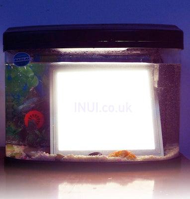 IP65 300x300mm LED Panel | INUI