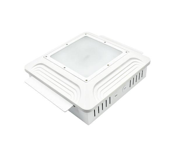 Flush Canopy 40-100-watt Light | INUI